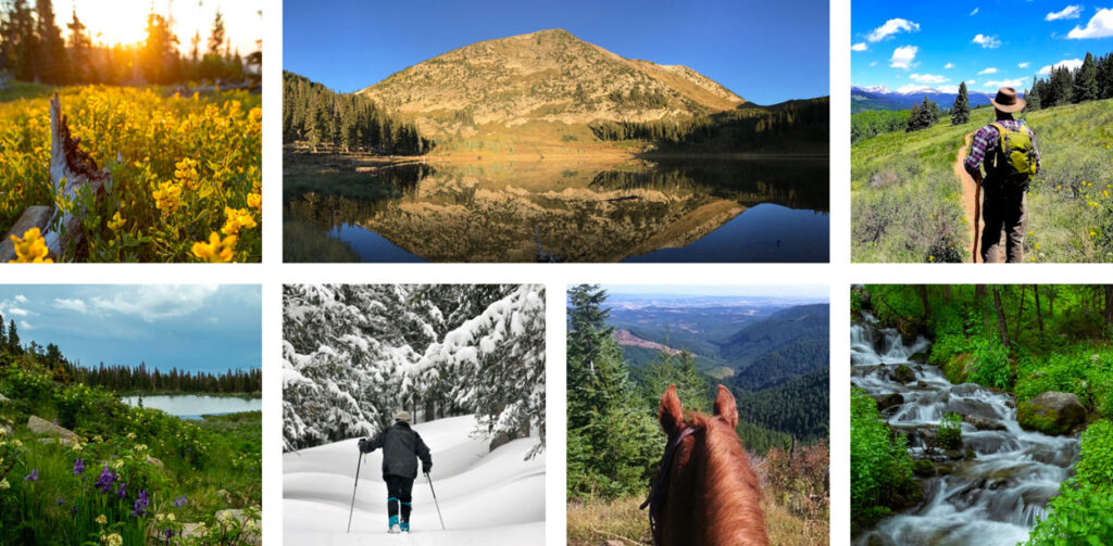 Area Description | Crystal Mesa Conservancy